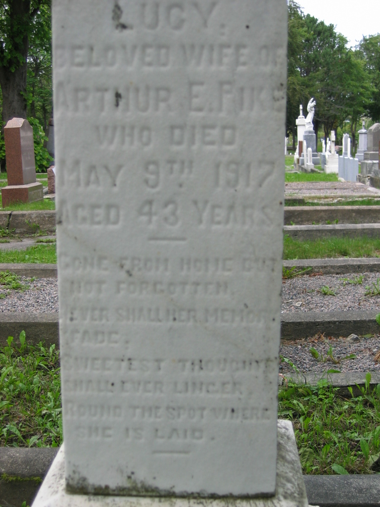 Pikes in the Anglican Cemetery, Forest Road, St. John's