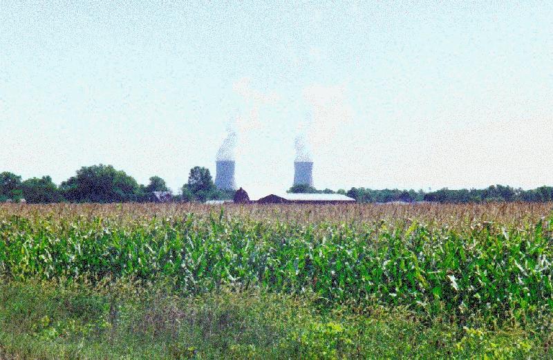 David's Picture Gallery