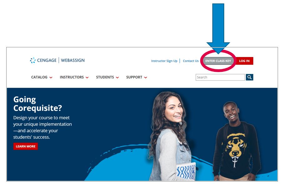 WebAssign in the Department of Mathematics and Statistics